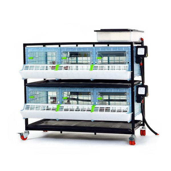 Brooder Boxes For Baby Chicks And Game Bird Brooders | Hatching Time