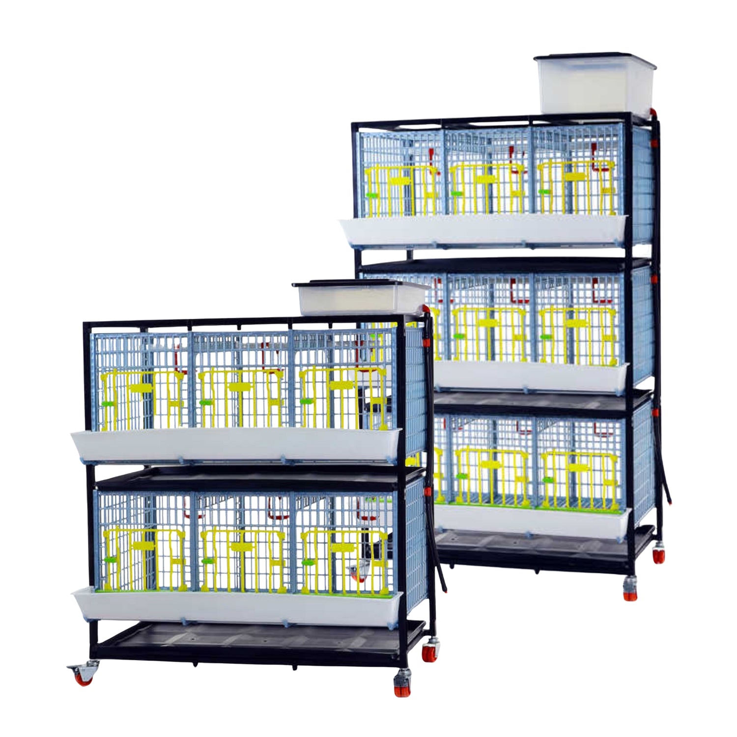 Grow Out Pens (Perfect Before Flock Integration) | Hatching Time