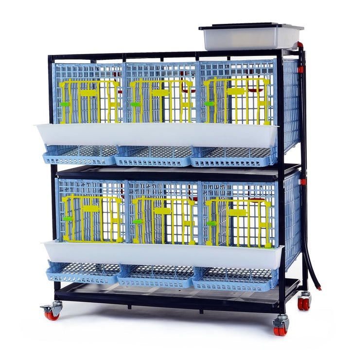 Egg-Roll Out Breeding Cage Systems At-Home - Cimuka | Hatching Time