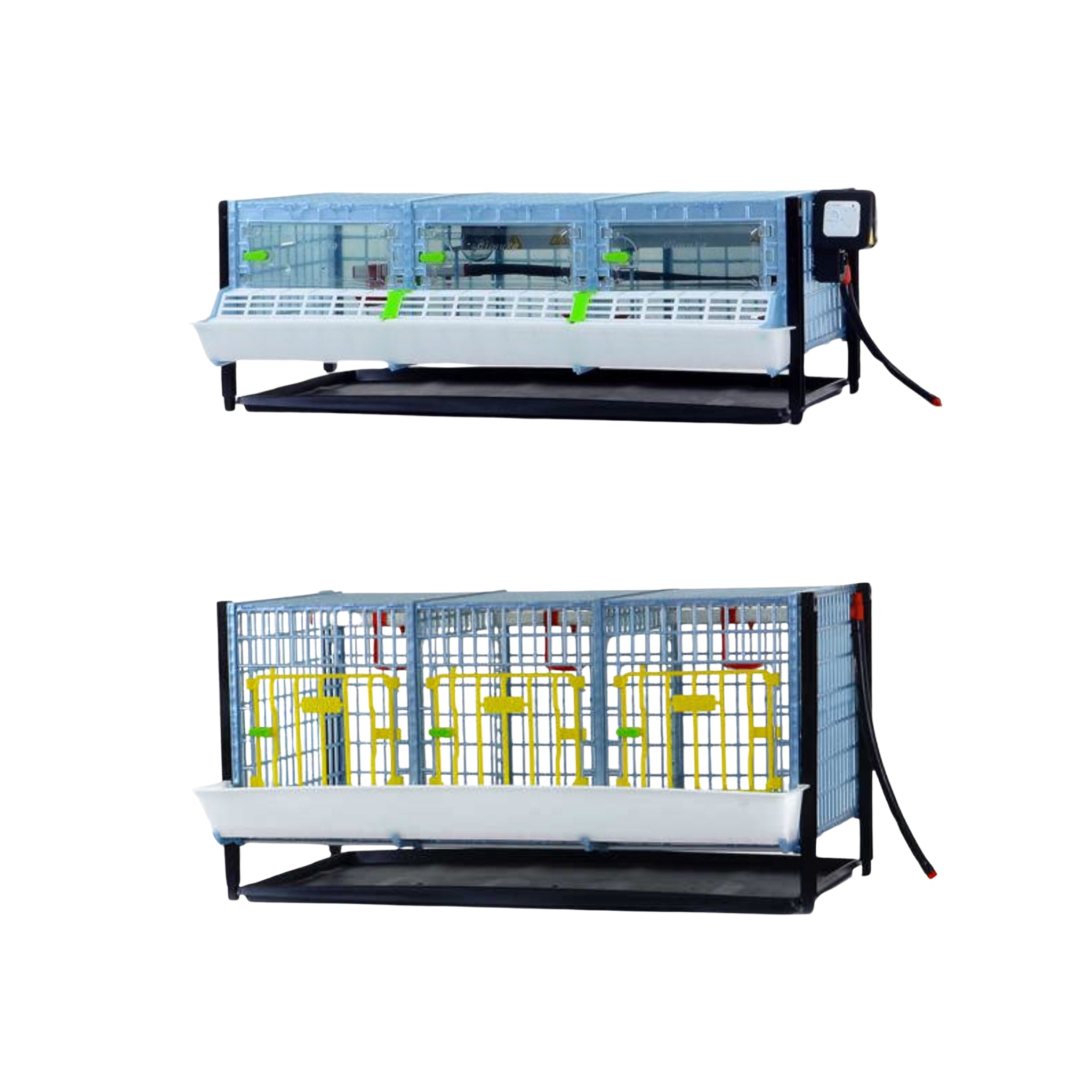 Layer Additions (Stackable Poultry Breeder & Brooder) | Hatching Time