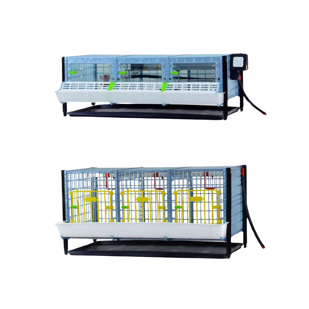 Egg-Roll Out Breeding Cage Systems At-Home - Cimuka | Hatching Time ...
