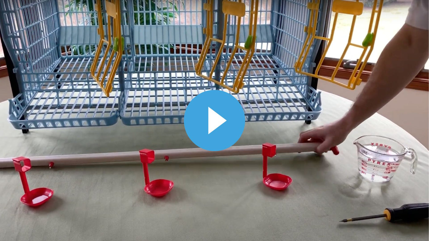 Chicken Medical Pen for Isolation - 3 Layer 22" Tall | Hatching Time