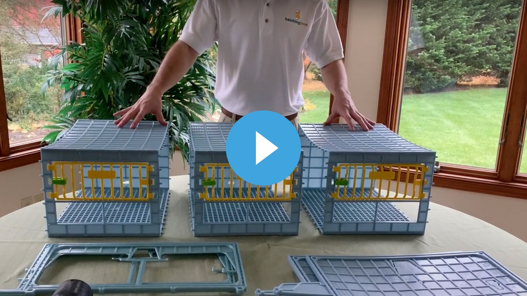 Game Bird Brooder - Layer Addition | Cimuka, Hatching Time