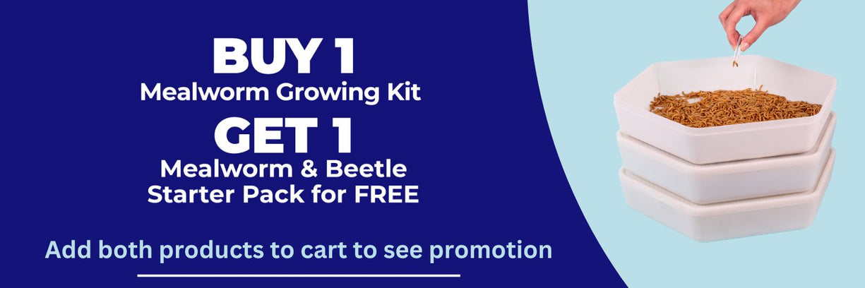 Products – Hatching Time