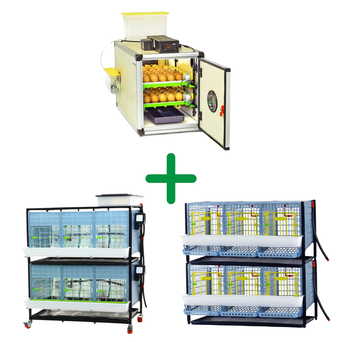 Semi-Pro Chicken Breeding Kit with Brooder and Cage | Hatching Time
