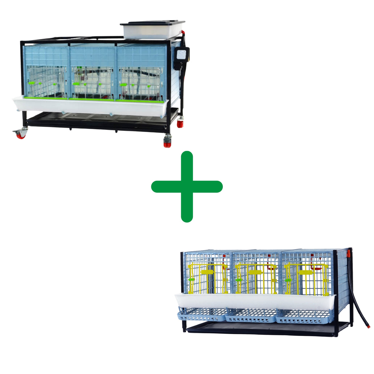 Breeding Chicken Starter Kit with Brooder & Layer Cage | Hatching Time