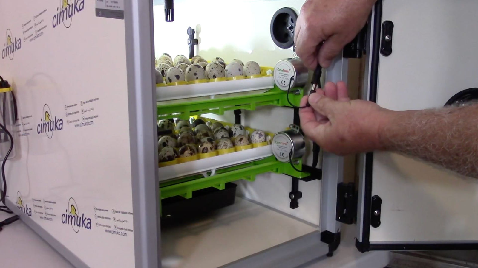 Innovative Poultry Equipment For Poultry Lovers – Hatching Time