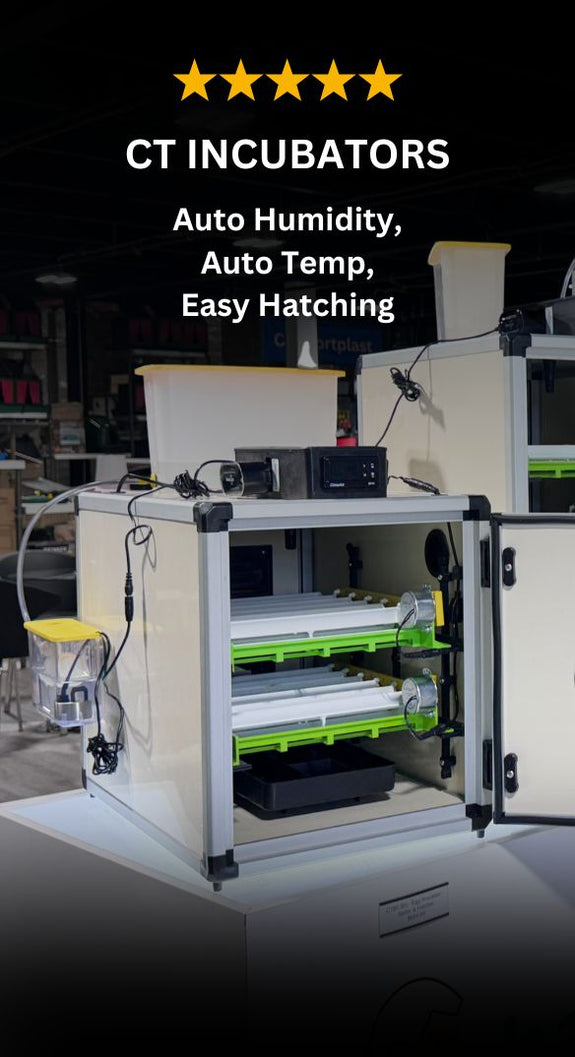 Smart & Automatic Egg Incubators for Easy Hatching | Hatching Time