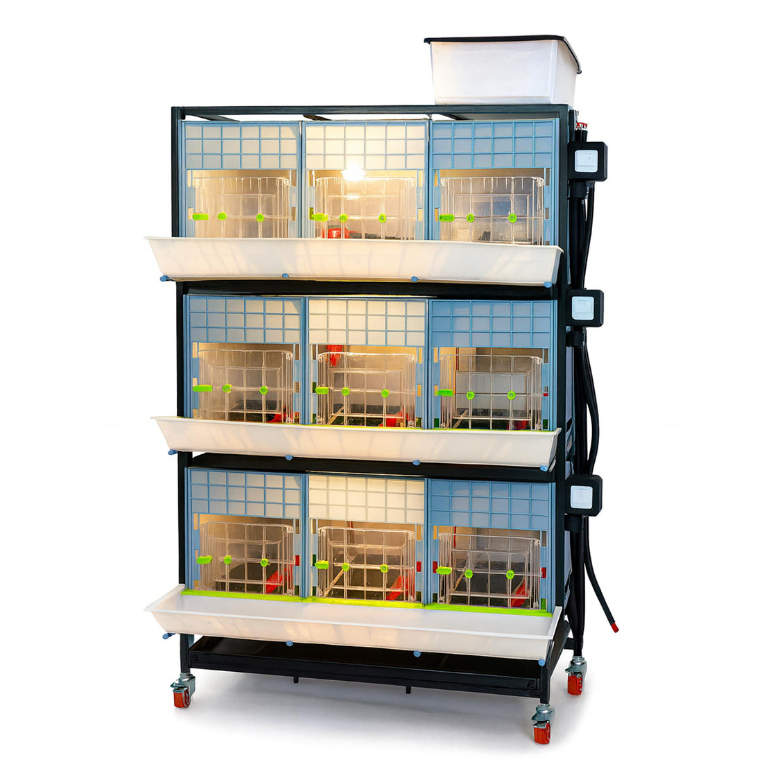 Everything You Need to Know About a Chicken Brooder – Hatching Time