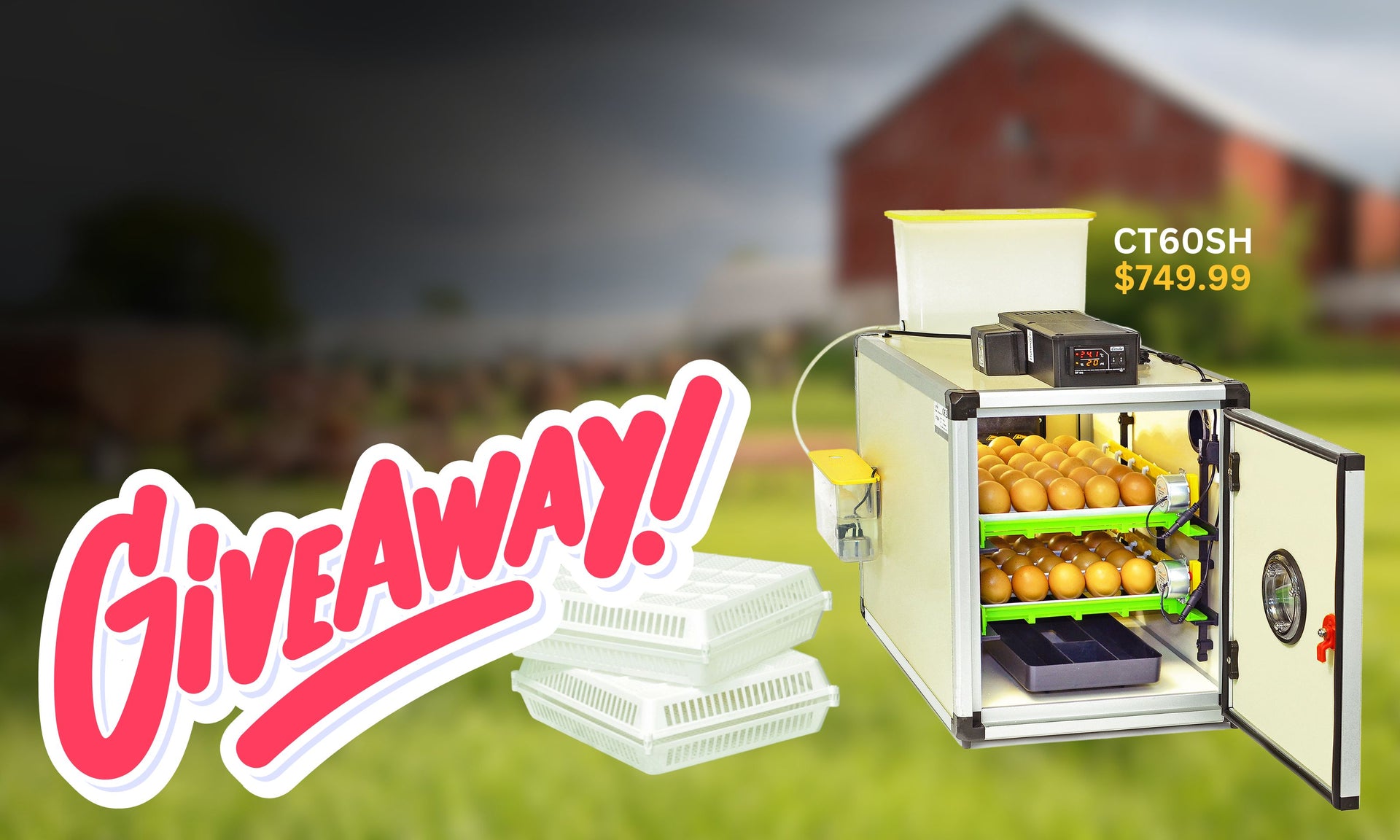 Innovative Poultry Equipment For Poultry Lovers – Hatching Time