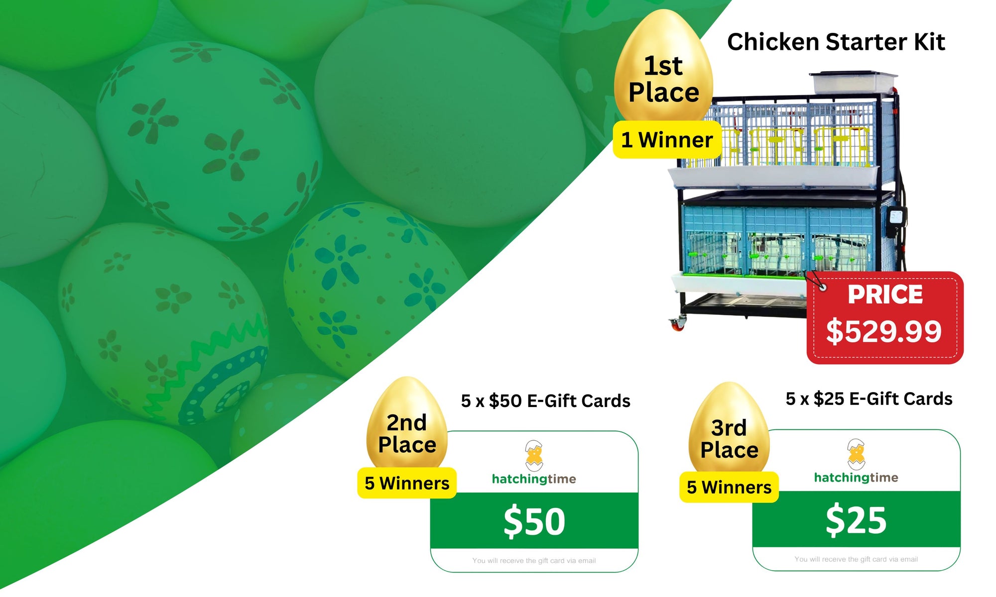 Innovative Poultry Equipment For Poultry Lovers – Hatching Time