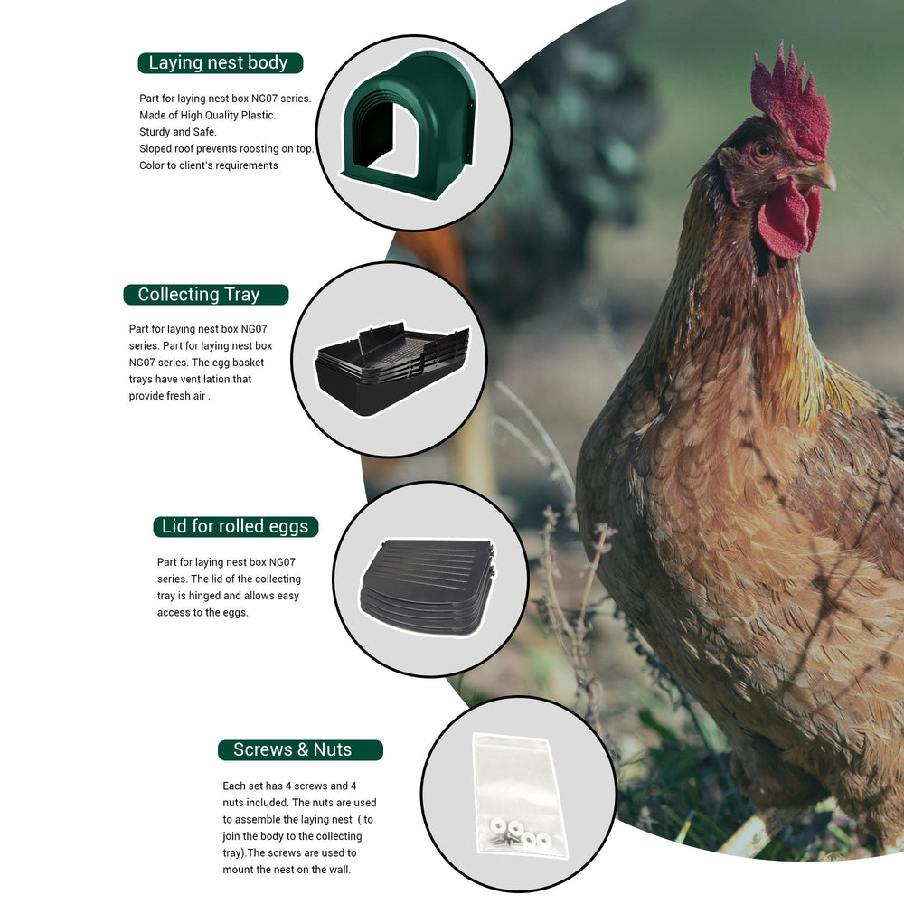 Easy Roll Out Nesting Boxes - Value Packs | Hatching Time