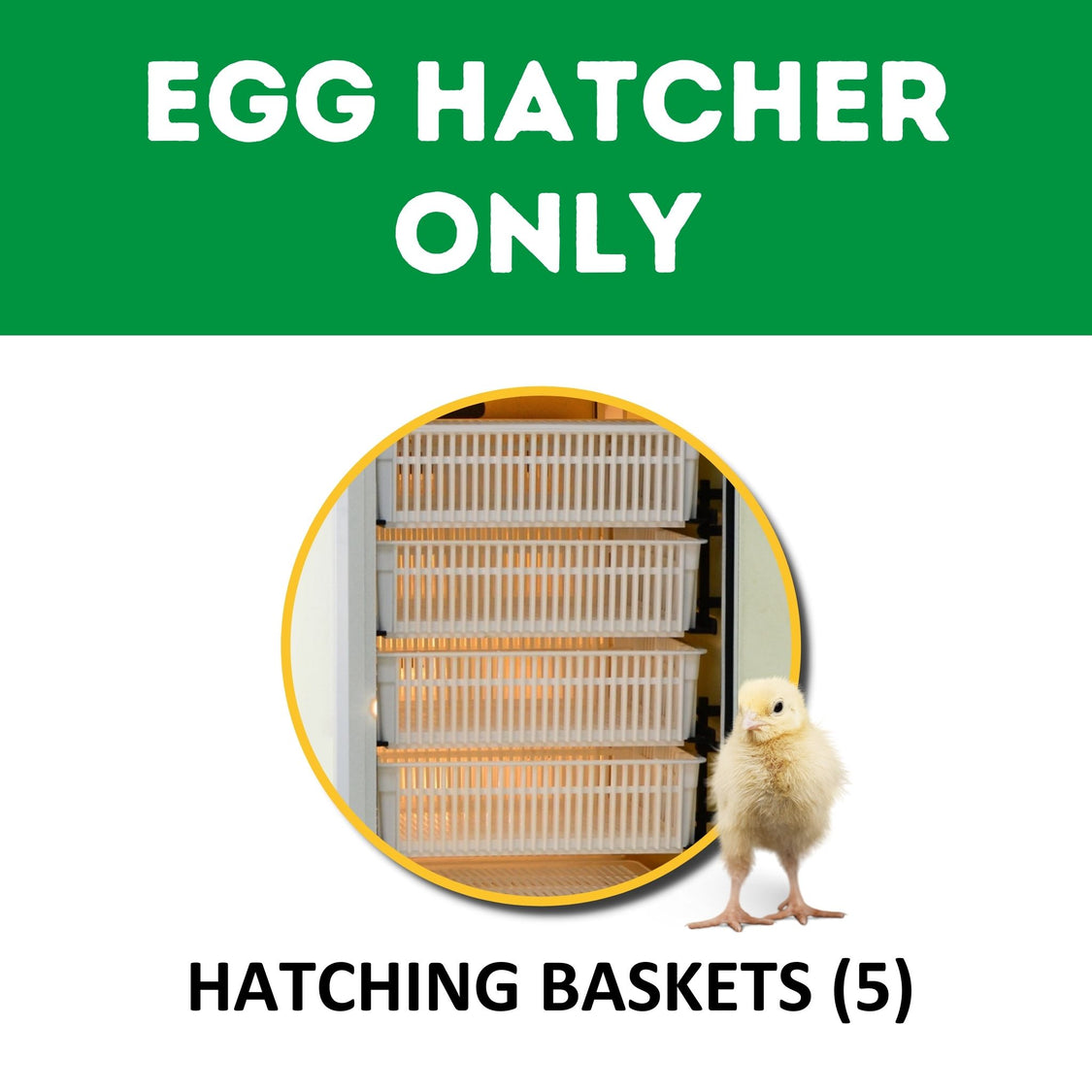 Smart & Automatic Egg Incubators for Easy Hatching | Hatching Time