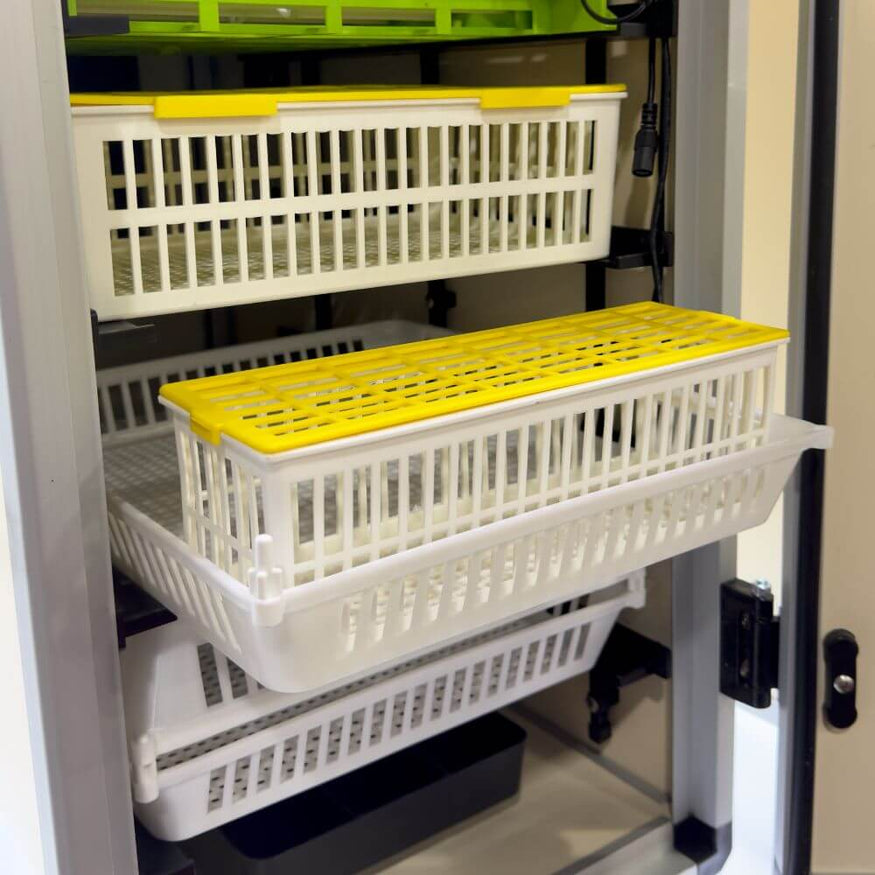 CT 180 Cimuka Egg Incubator - Setter & Hatcher | Hatching Time