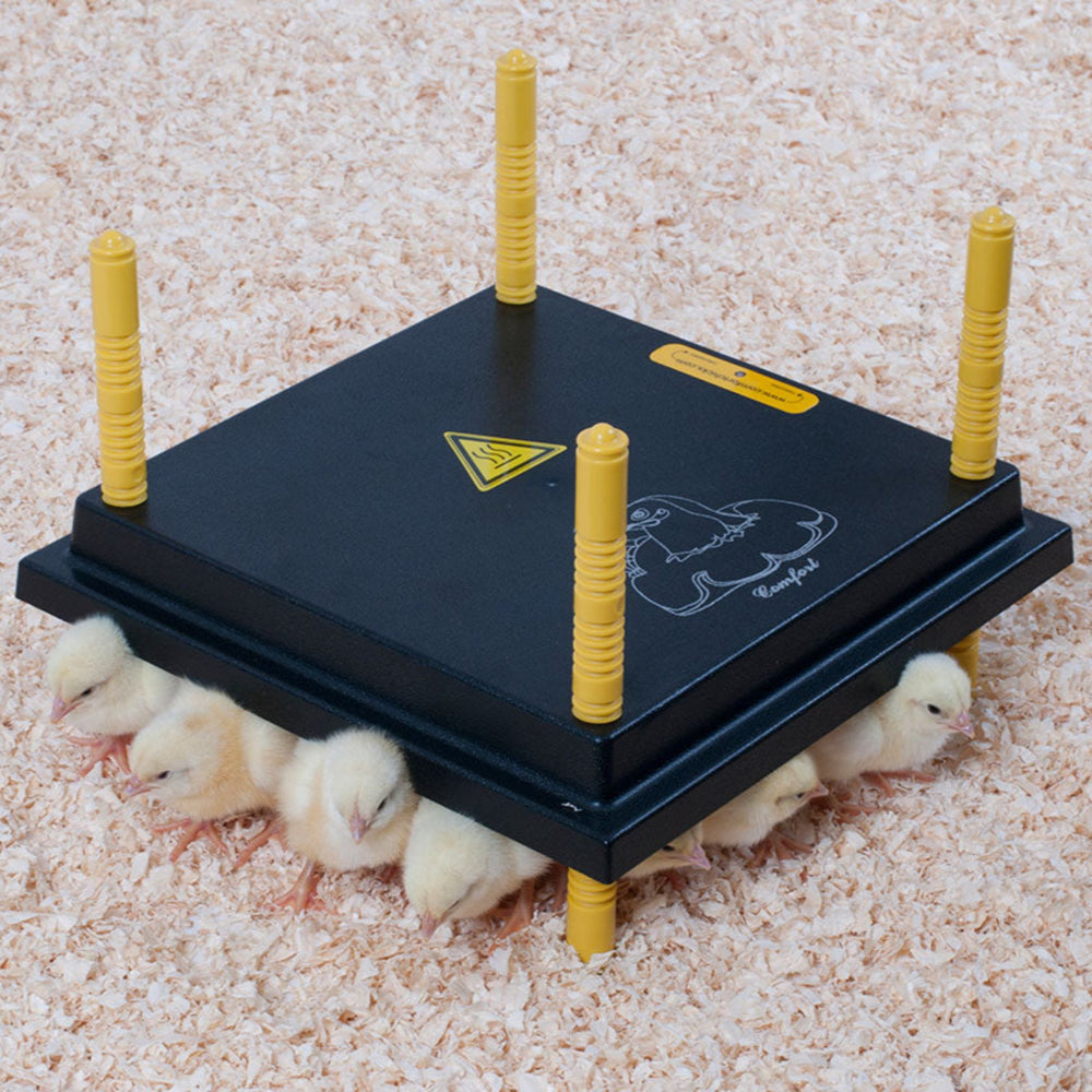 Chick Brooder Heating Plates with Adjustable Heights | Hatching Time