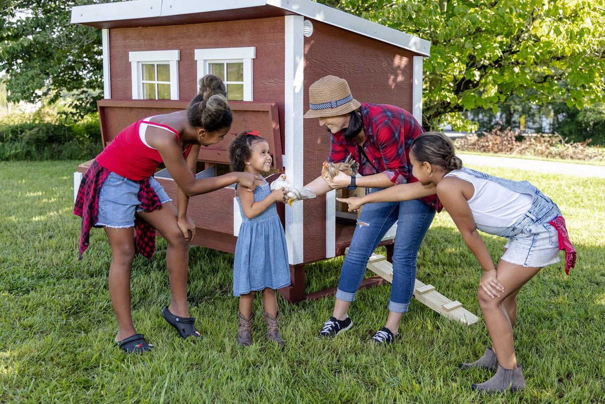 Chicken Run Tarp - Weather Protection Walk-In Coops | Hatching Time