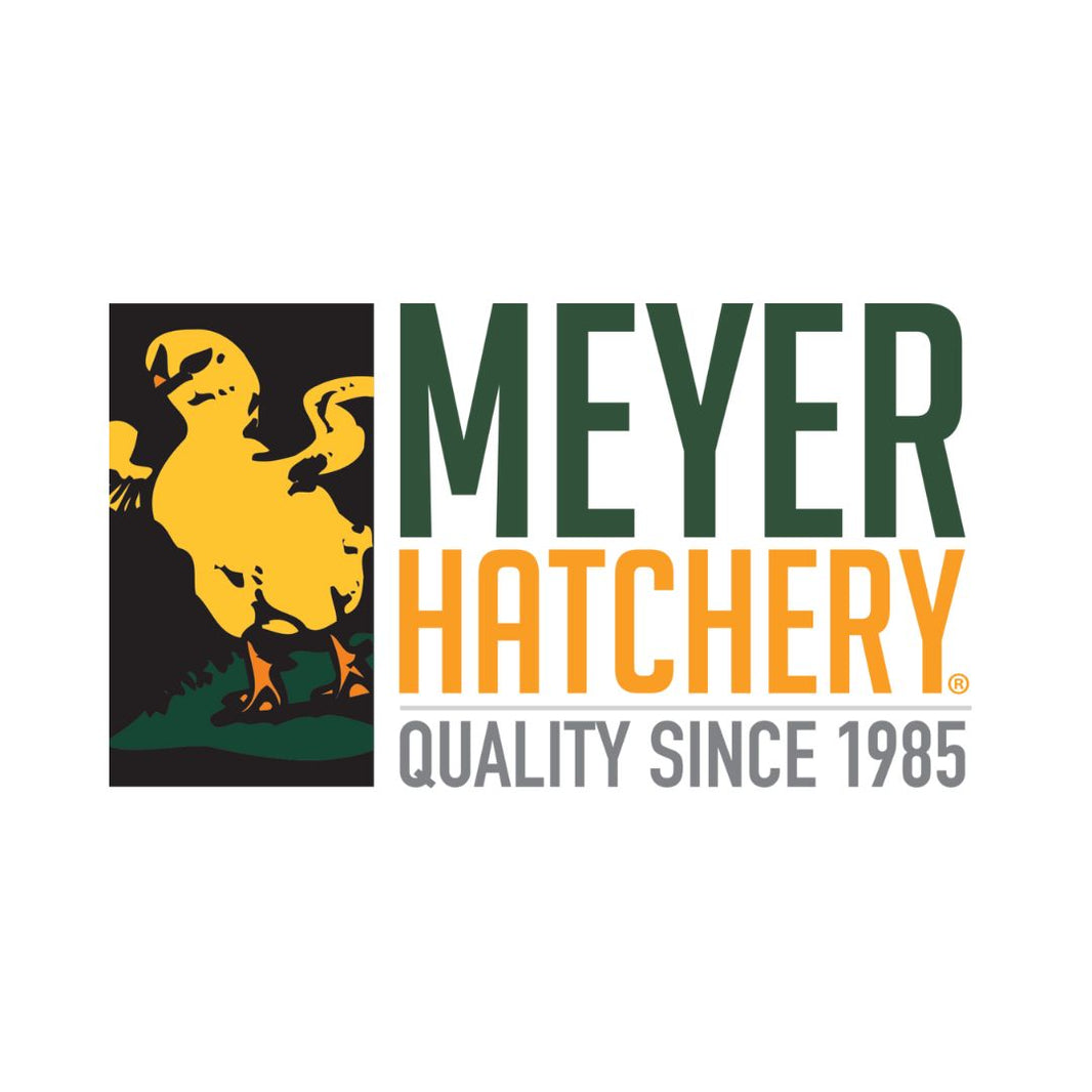 Recommended Hatcheries For Egg and Chicks | Hatching Time
