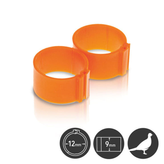 Poultry Leg Bands - Easy Connect (Flock Management) | Hatching Time