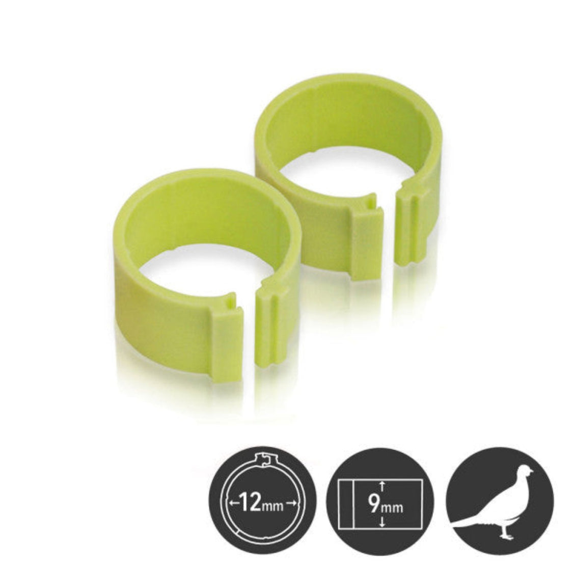Poultry Leg Bands - Easy Connect (Flock Management) | Hatching Time
