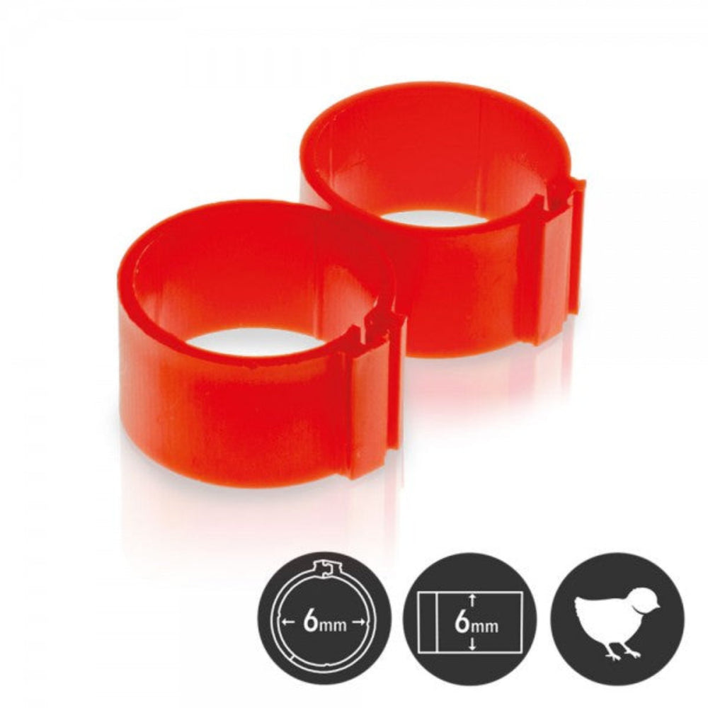 Poultry Leg Bands - Easy Connect (Flock Management) | Hatching Time