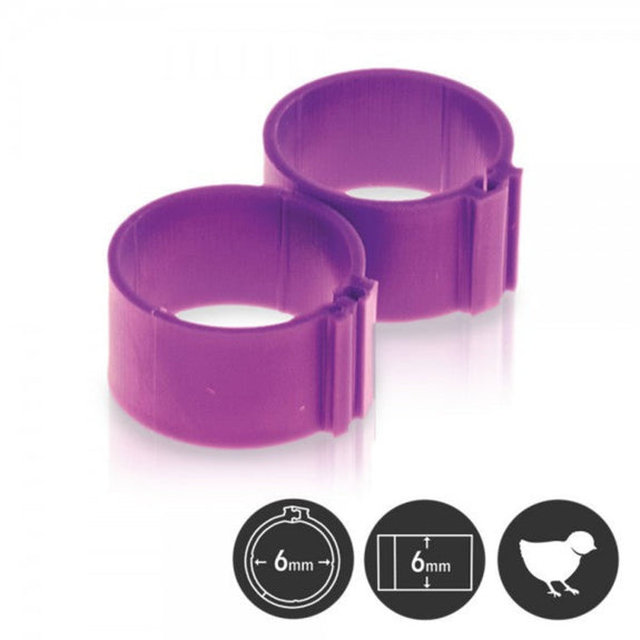 Poultry Leg Bands - Easy Connect (Flock Management) | Hatching Time