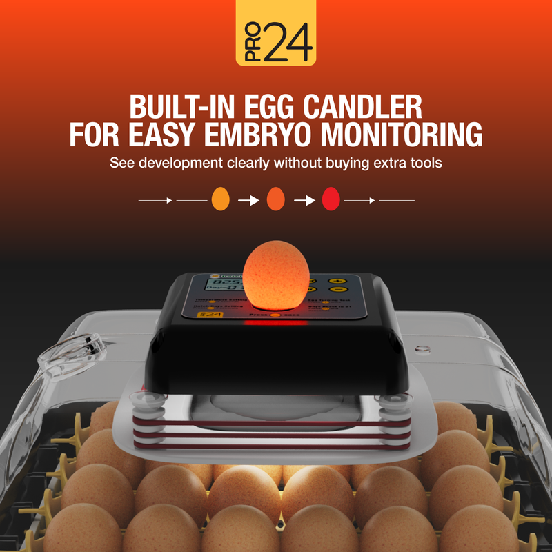 Pro24 Tabletop Automatic Egg Incubator 24 Egg Capacity | Hatching Time