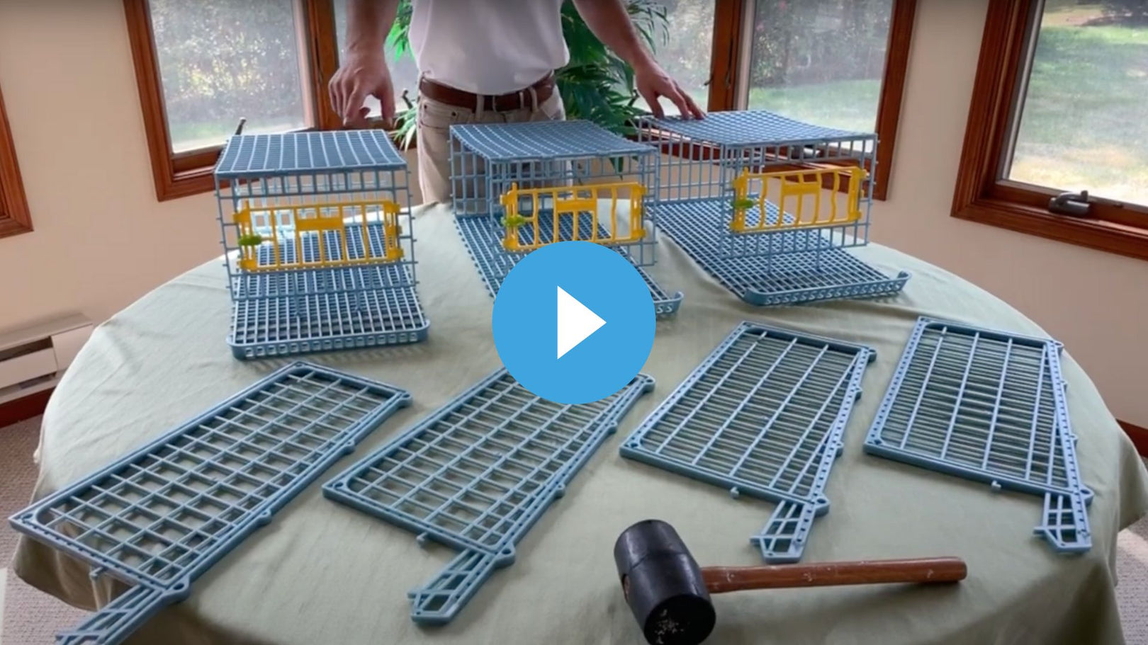 Quail Breeding Cage - 4 Layer (Easy Clean Quail Pen) | Hatching Time