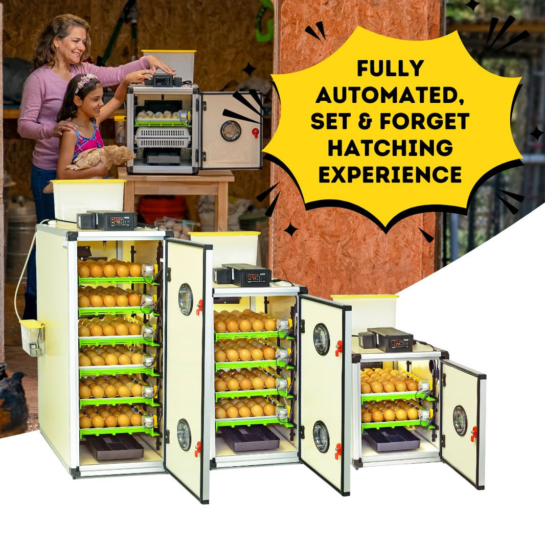 Innovative Poultry Equipment For Poultry Lovers – Hatching Time