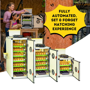 Innovative Poultry Equipment For Poultry Lovers – Hatching Time