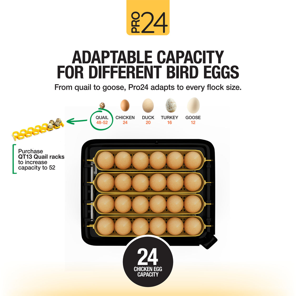 Pro24 Tabletop Automatic Egg Incubator 24 Egg Capacity | Hatching Time