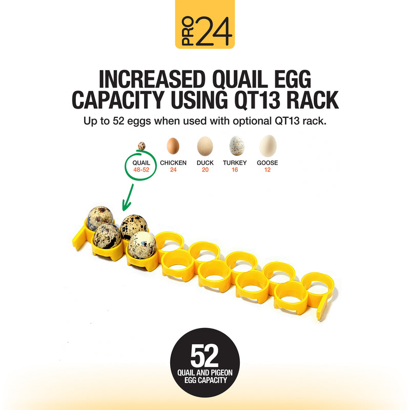 Pro24 Tabletop Automatic Egg Incubator 24 Egg Capacity | Hatching Time