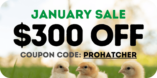 Cimuka T4800S Egg Incubator - Setter | Hatching Time