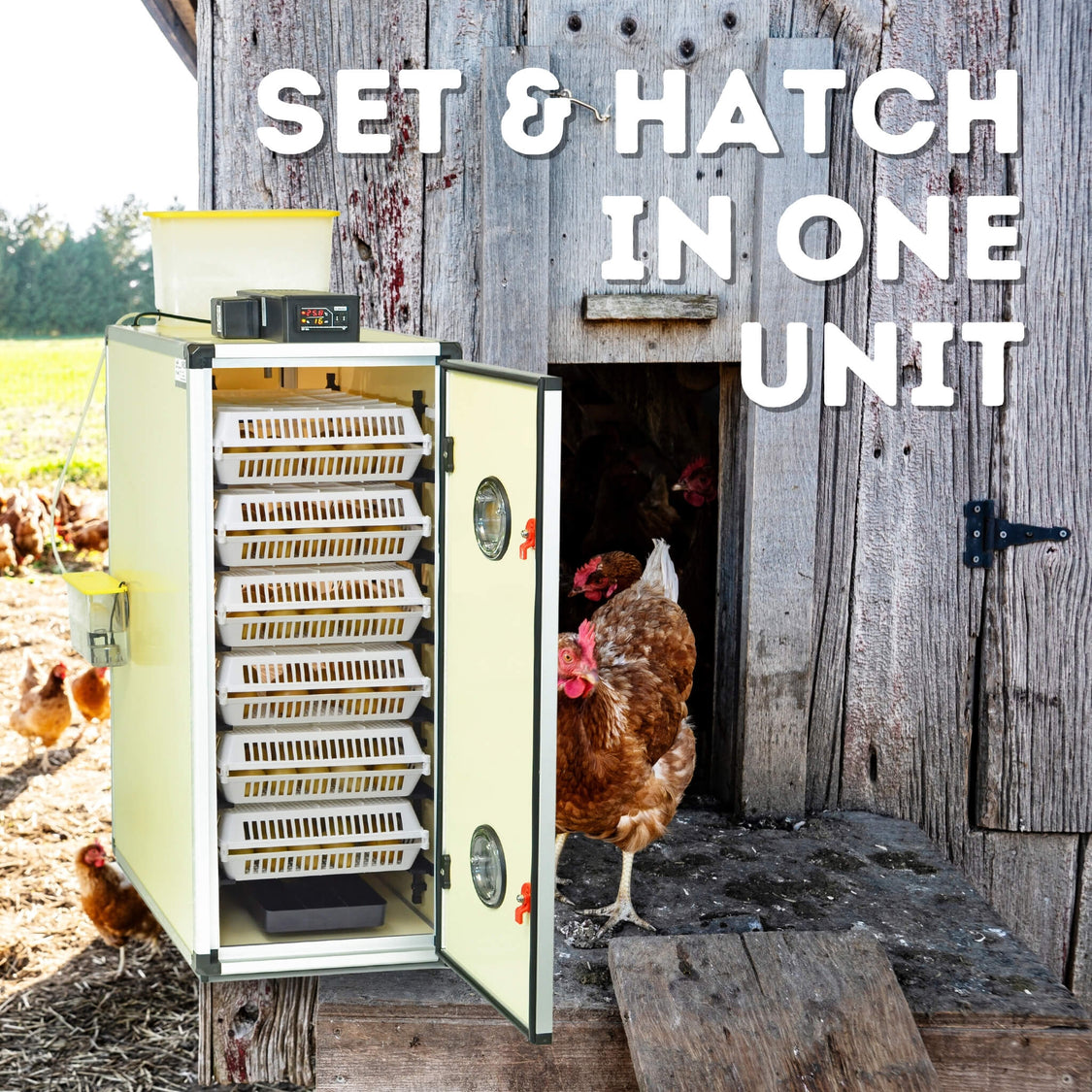 CT 180 Cimuka Egg Incubator - Setter & Hatcher | Hatching Time