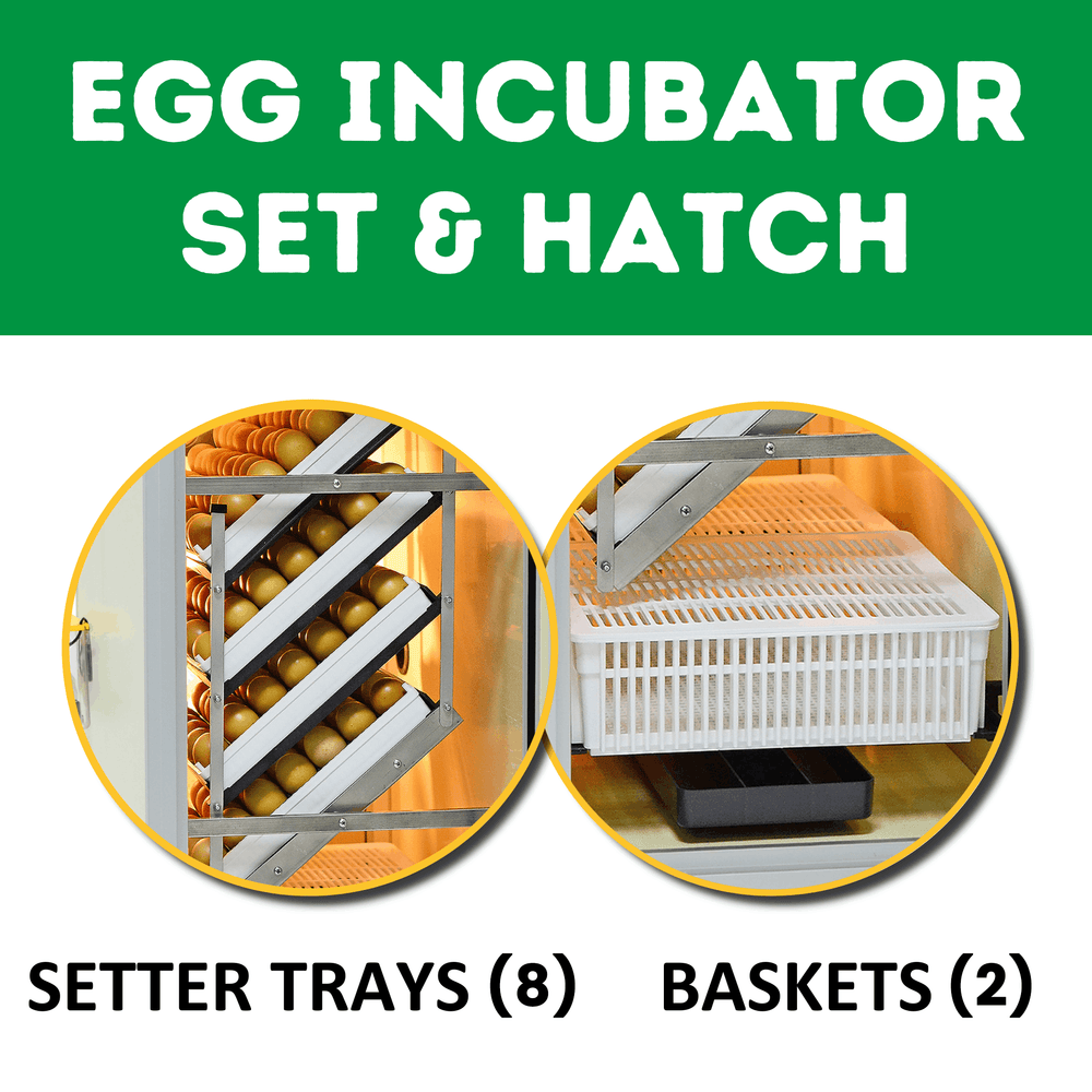Smart & Automatic Egg Incubators for Easy Hatching | Hatching Time