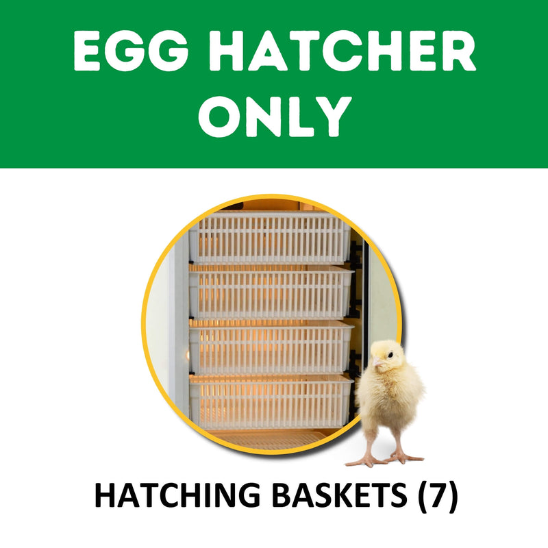 Automatic Cabinet Incubators (175-700 Eggs) Cimuka | Hatching Time
