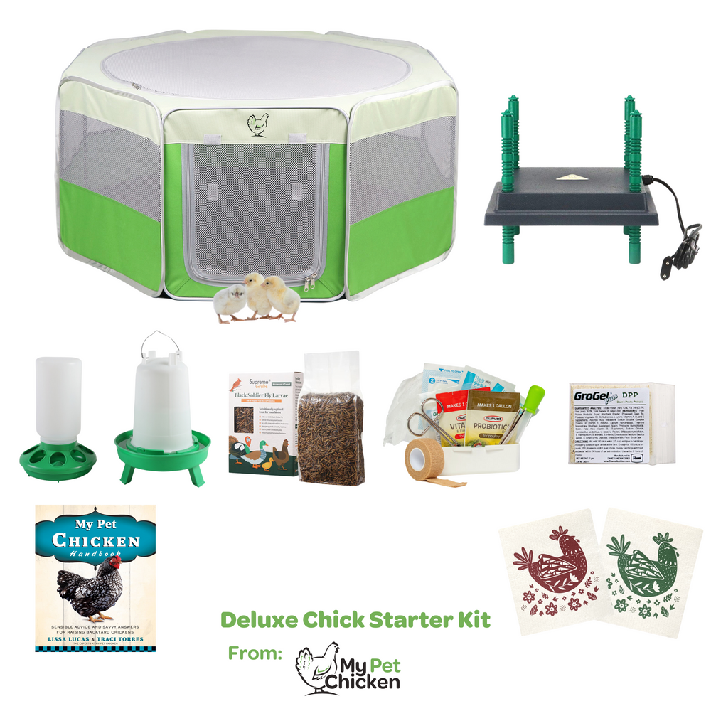 My Pet Chicken Starter Kits & Brooders and Supplies | Hatching Time