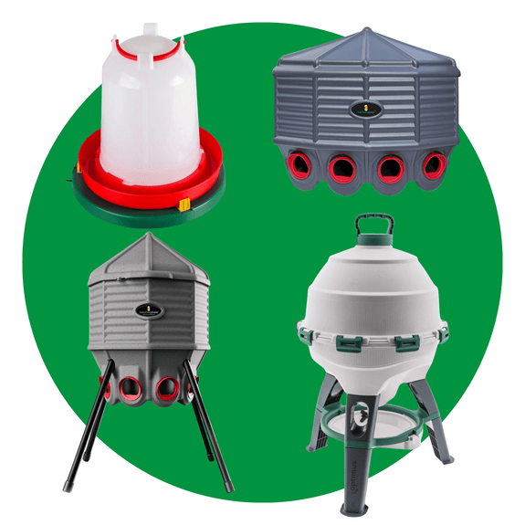 Quail Supplies – Cages, Feeders, Brooders & Incubators | Hatching Time