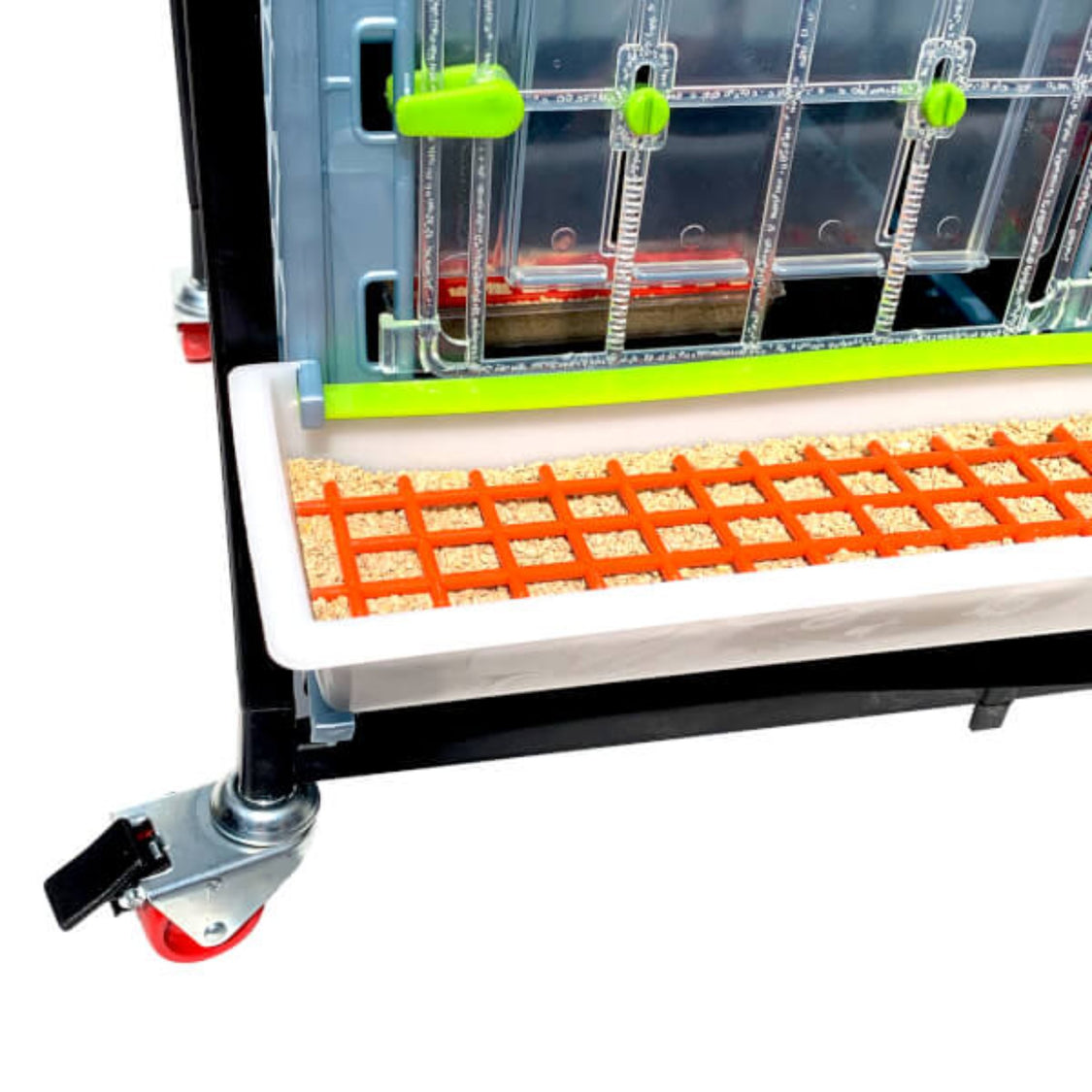 Chicken Brooder Box: 1 Layer Baby Chick Brooder | Hatching Time