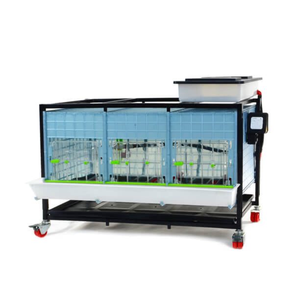 Game Bird Brooder - Layer Addition | Cimuka, Hatching Time