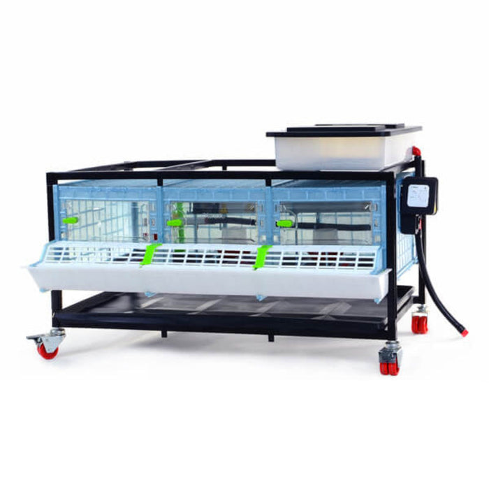 Brooder Boxes For Baby Chicks And Game Bird Brooders | Hatching Time