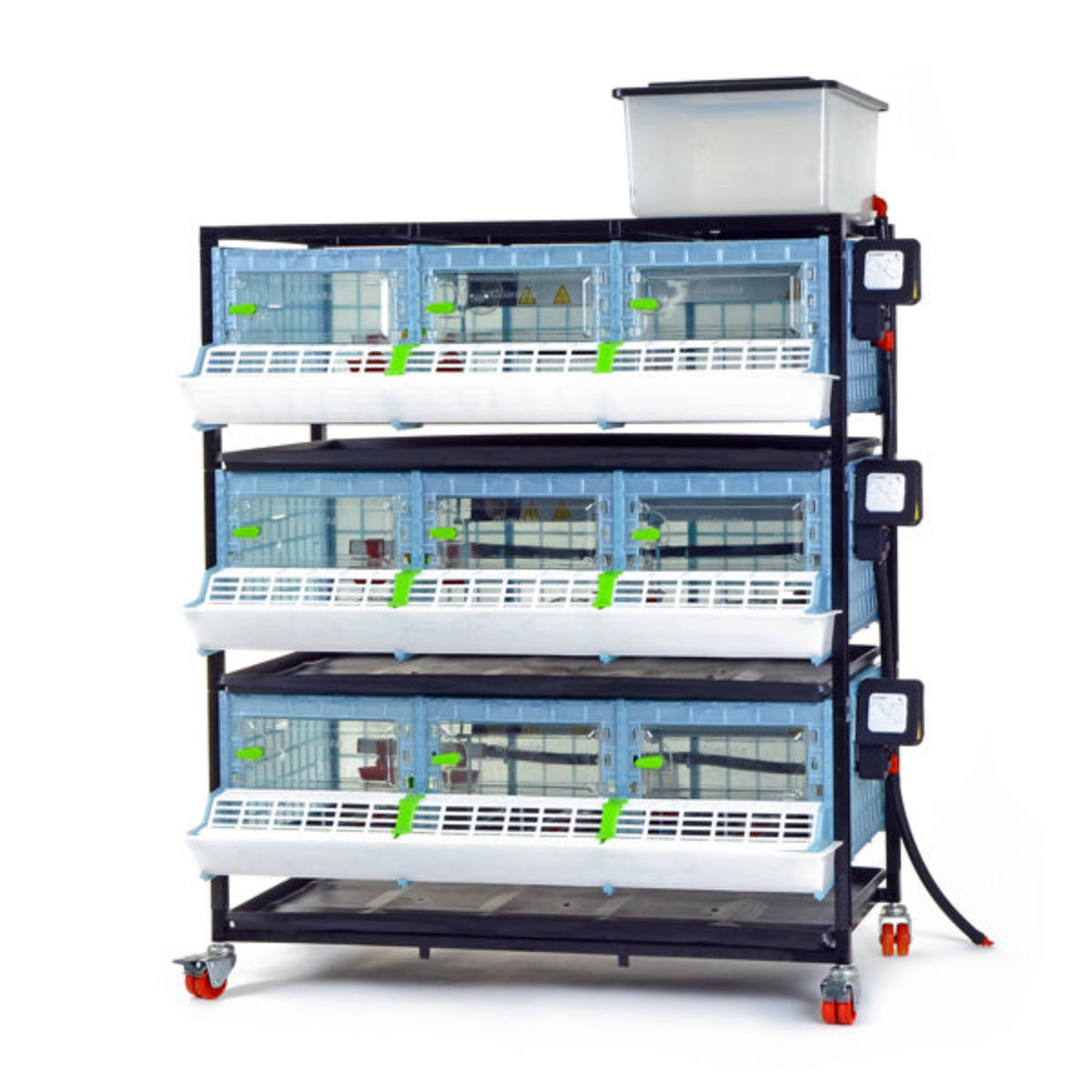 Game Bird Brooder Box - 3 Layer Quail Brooder | Cimuka, Hatching Time