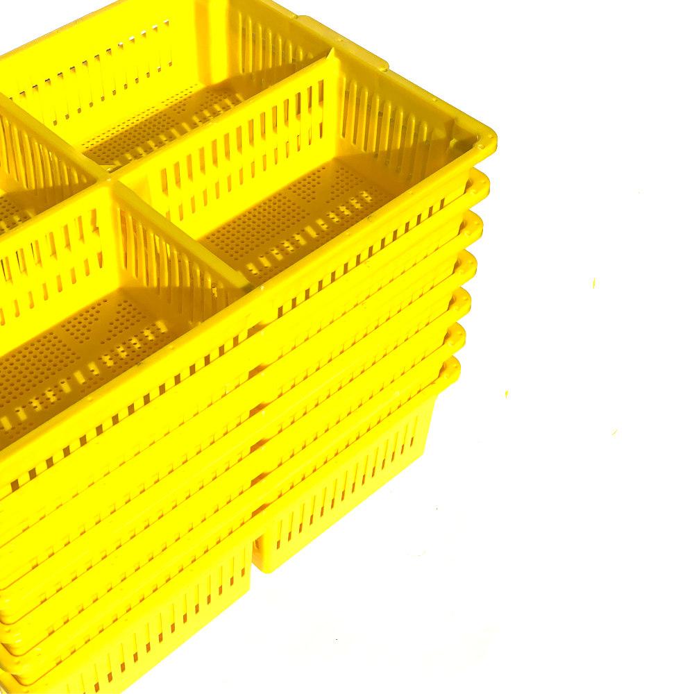 Chick Basket - 4 Section (100 Count) Sort & Stack - AYTAV | Hatching Time