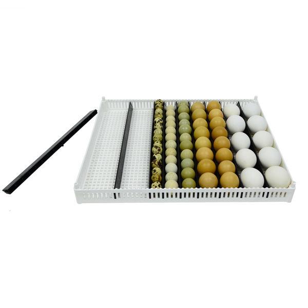 Egg Setter Tray - Flexy80 (Plastic, Stackable, Washable) Hatching Time