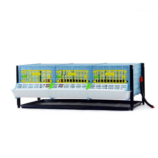 Grow Out Pens (Perfect Before Flock Integration) | Hatching Time