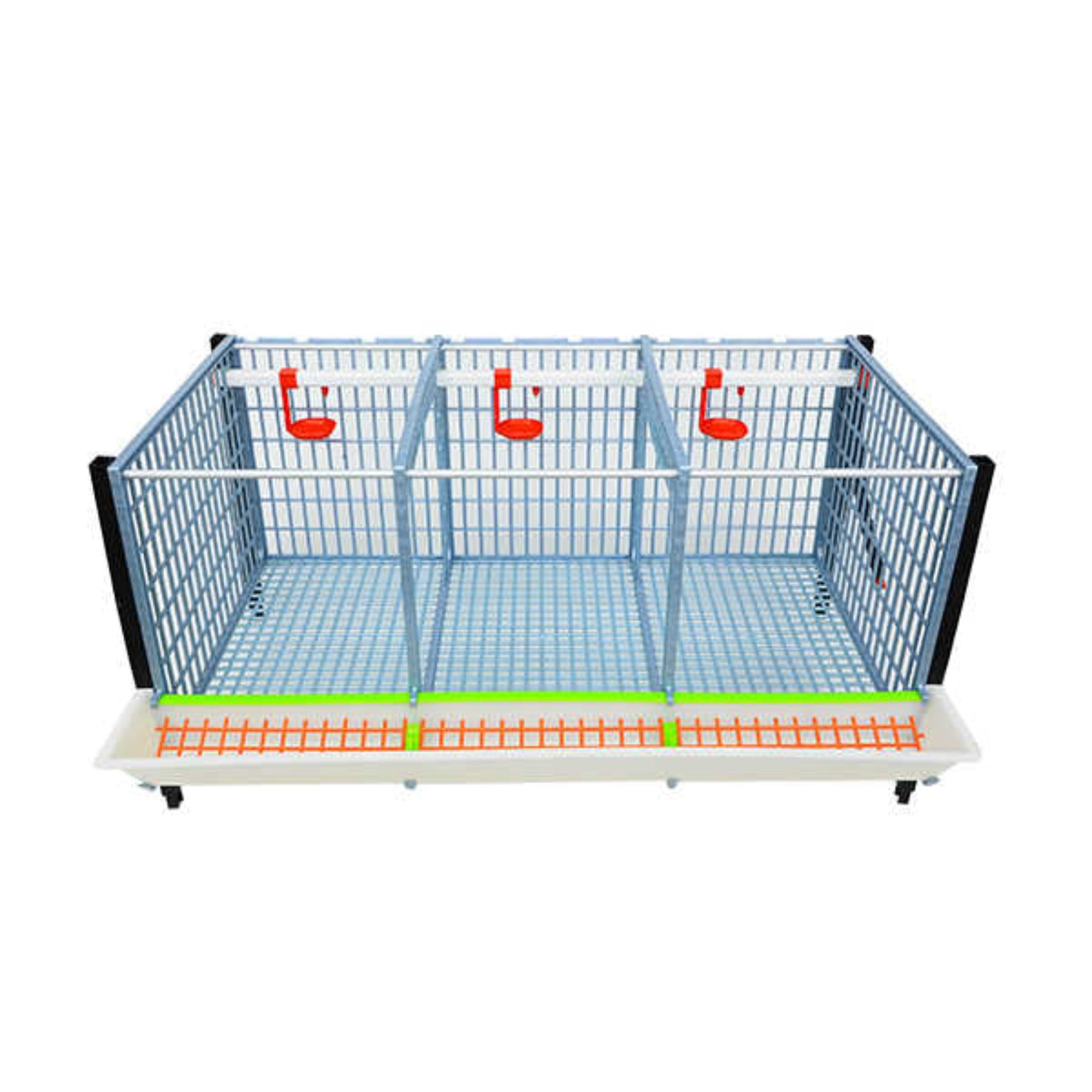 Premium Grow Out Pens - Chicken, Goose Layer Addition | Hatching Time