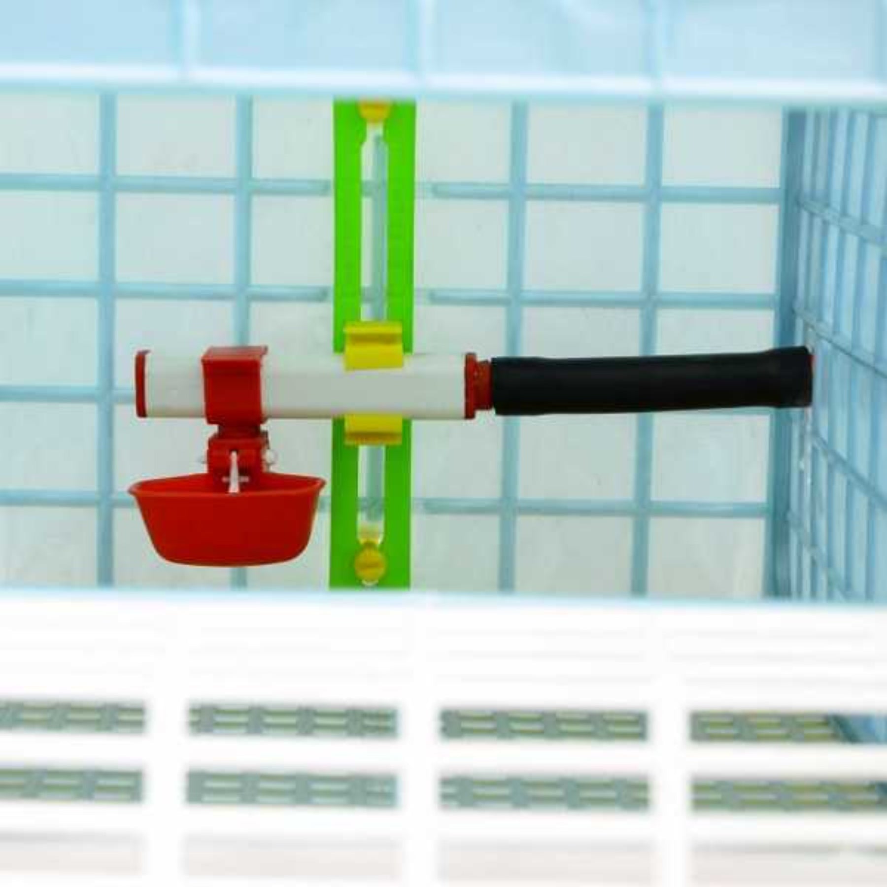 Grow Out Pens (Perfect Before Flock Integration) | Hatching Time