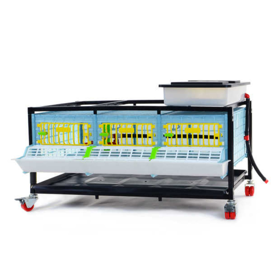 Premium Grow Out Pens for Flock Integration - 4 Layer | Hatching Time