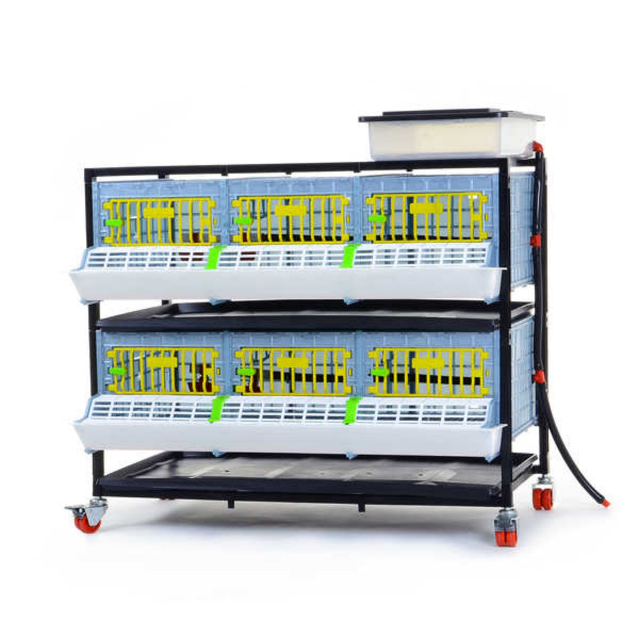 Premium Grow Out Pens for Flock Integration - 4 Layer | Hatching Time