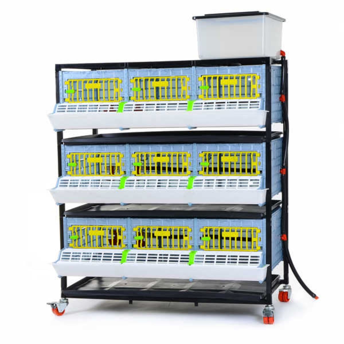 Premium Grow Out Pens for Flock Integration - 4 Layer | Hatching Time