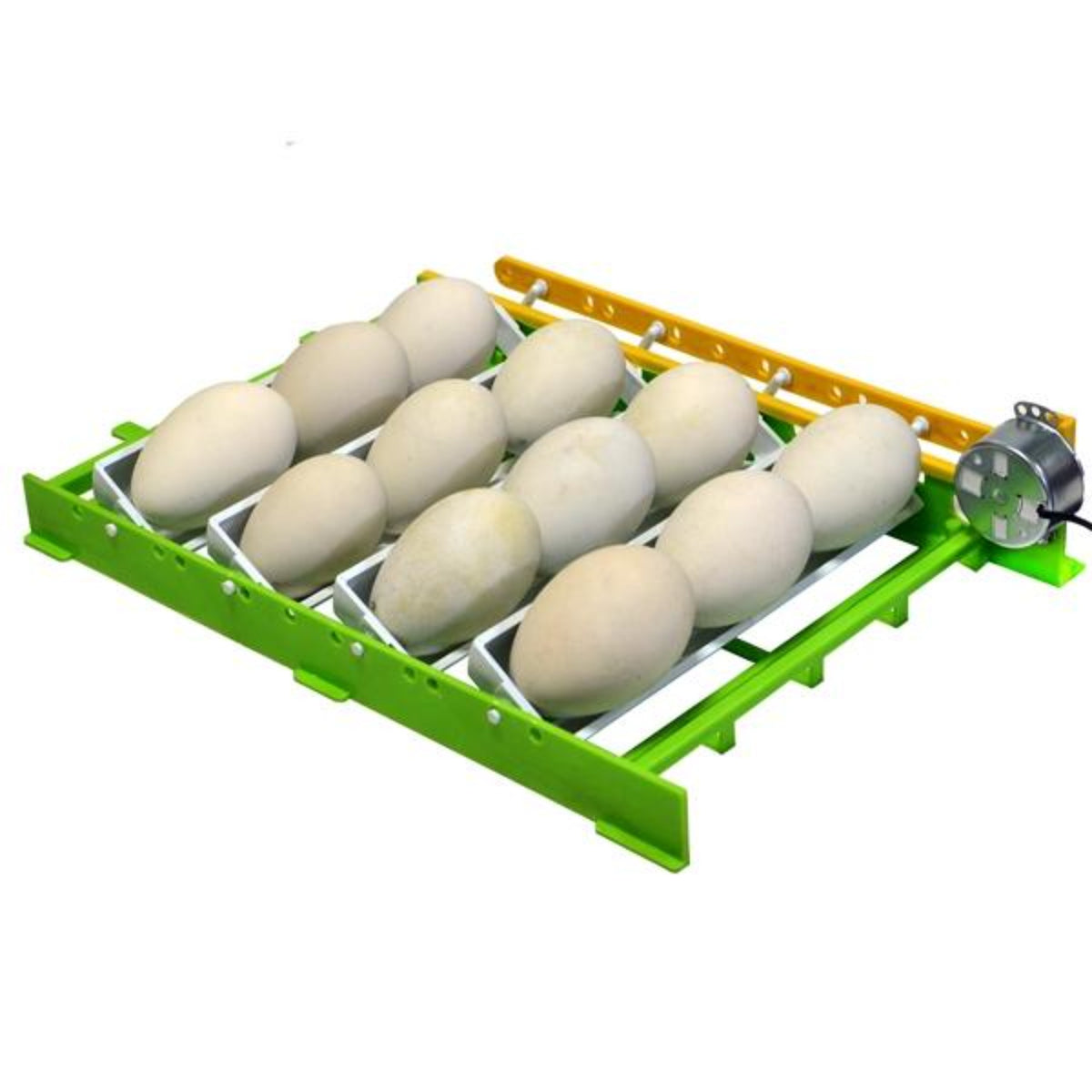 Automatic Cabinet Incubators (60-180 Eggs) Cimuka | Hatching Time